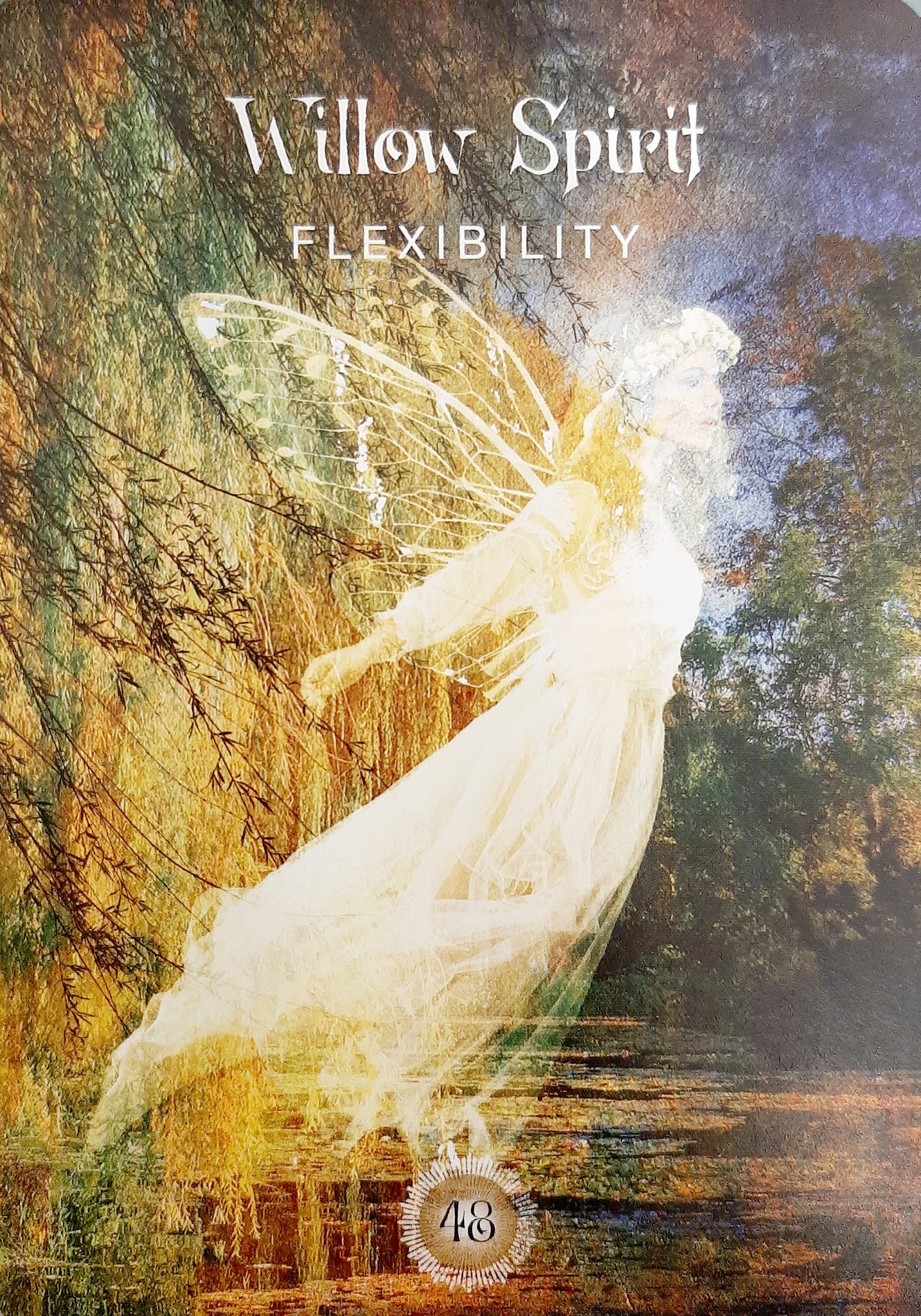 Willow – Psychic Cowgirl®